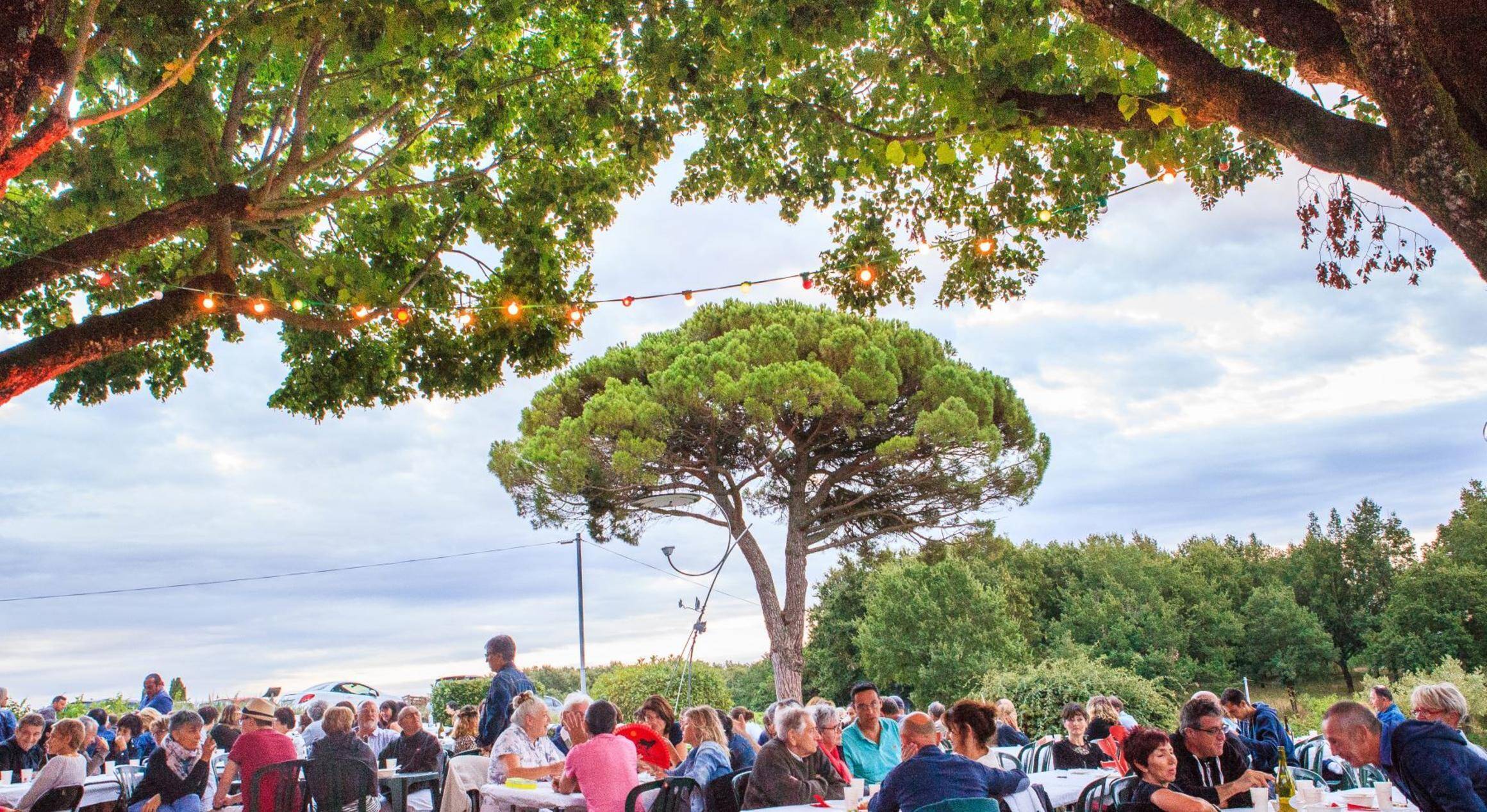 DOMAINE DU MAS PIGNOU